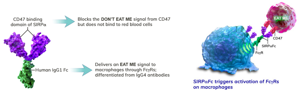方兴未艾 - 免疫疗法新靶点CD47浅析 - 知乎