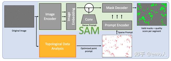 23年9月始阅读过的SAM相关文章总结[2024/4/2] - 知乎