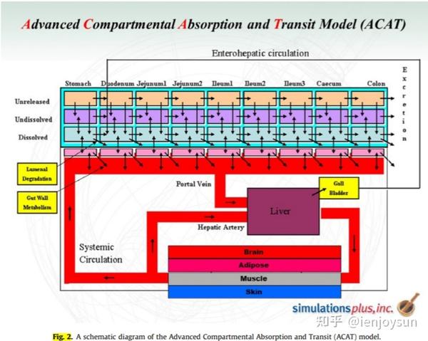 食物、胃肠道pH值和口服药物吸收模型 - 知乎