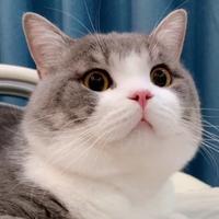 抗原抗体结合自由能计算-FoldX - 知乎