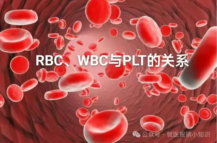 RBC、WBC与PLT的关系 - 知乎