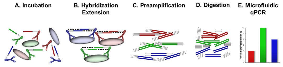 超灵敏的Olink蛋白组学，助力精准医疗发展的“黑科技” - 知乎