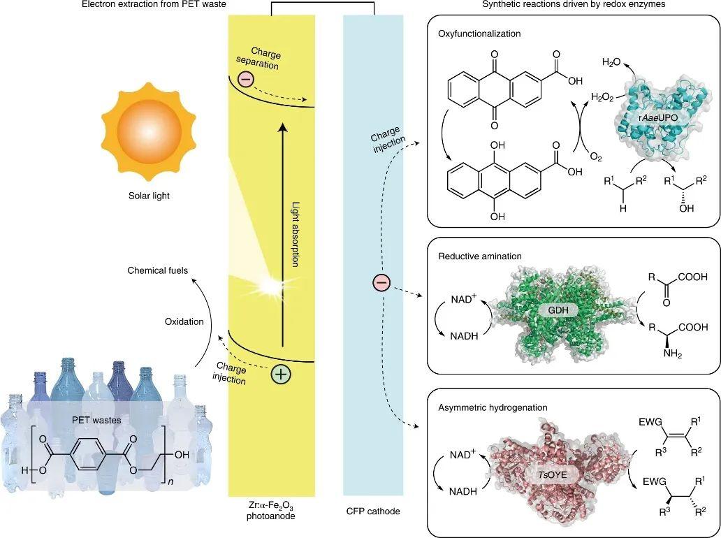 Nature Synthesis：微塑料为燃料的光电催化生物合成 - 知乎