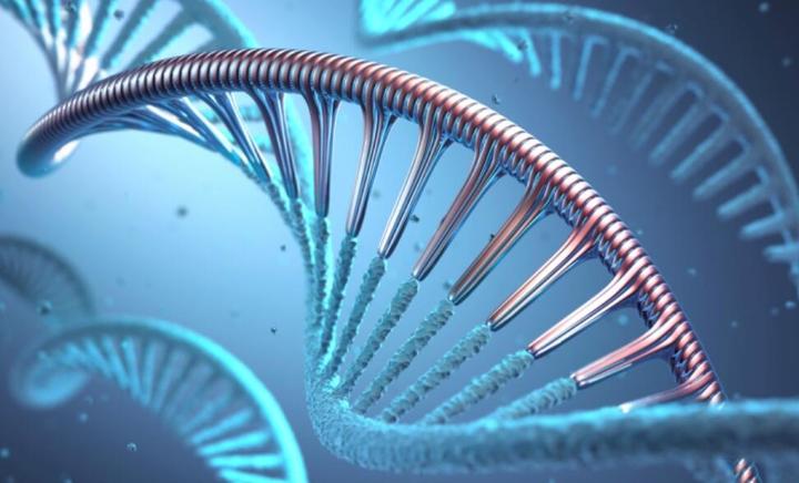 STTT | 中科大王昊：8种RNA修饰的分布，机制与功能 - 知乎