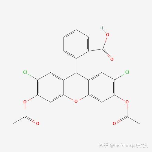 DCFH-DA；活性氧ROS荧光探针 - 知乎
