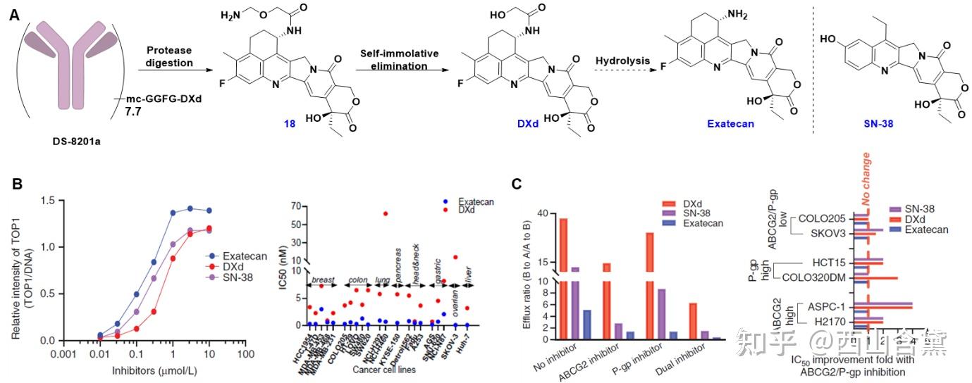 深度挖掘DS-8201a！期待下一个破局者 - 知乎
