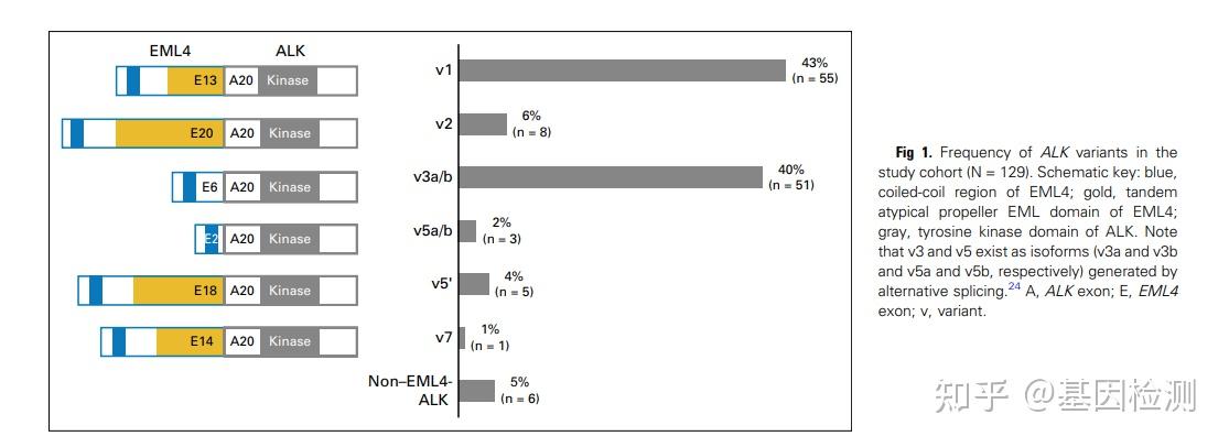 布加替尼在日本alk阳性非小细胞肺癌患者中的应用:J-ALTA 2期试验的最终结果 - 知乎