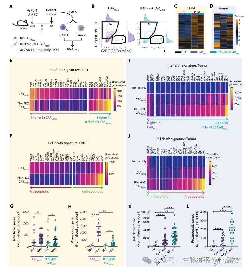 免疫治疗前沿文献导读（1）- CAR-T “伤敌一千，自损八百” - 知乎