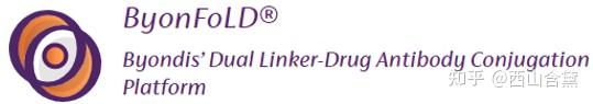 国内外知名企业ADC技术平台(第五期, Byondis) - 知乎