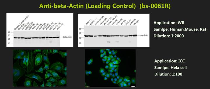 WB高手必知：选择合适的内参 - 知乎