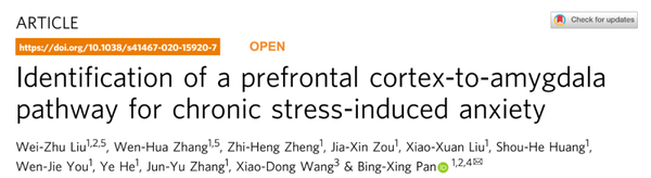 【文献解读】mPFC-杏仁核介导焦虑 - 知乎