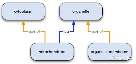 一文极速读懂 Gene Ontology （GO）数据库 - 知乎