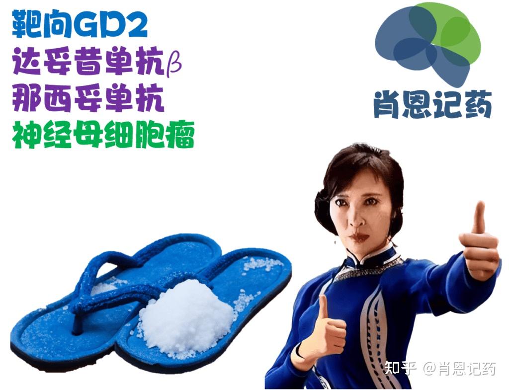 记住所有FDA生物药 | 靶向神经节苷脂GD2 | 达妥昔单抗β，那西妥单抗 | 神经母细胞瘤 - 知乎