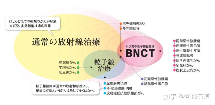 深入了解！！“硼中子俘获疗法（BNCT）”的原理和常见问题，探索癌症治疗的新方向！ - 知乎