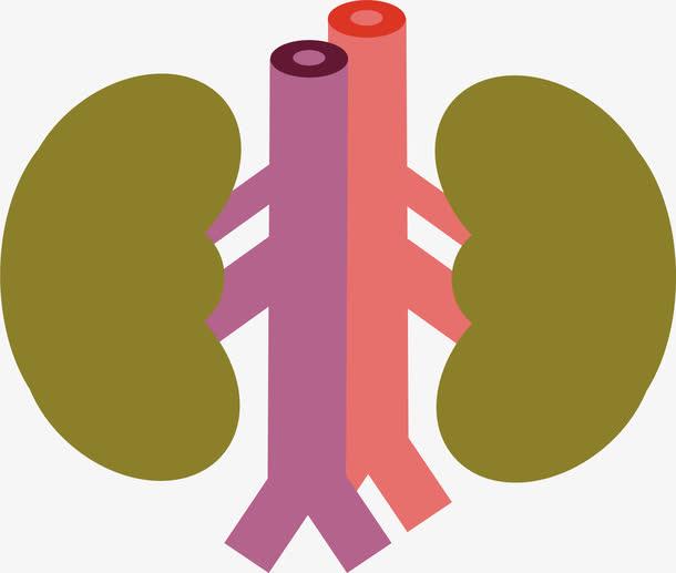 UCSF可植入人工肾项目获 KidneyX 65万美元奖金 - 知乎