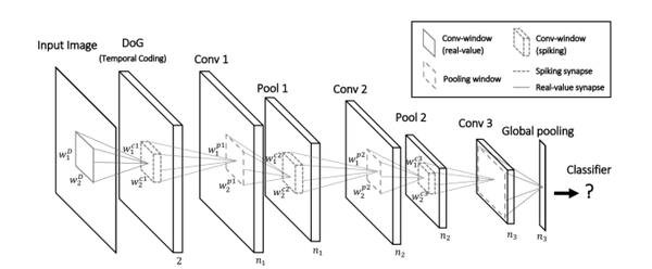 STDP-based spiking deep convolutional neural networks for object recognition - 知乎