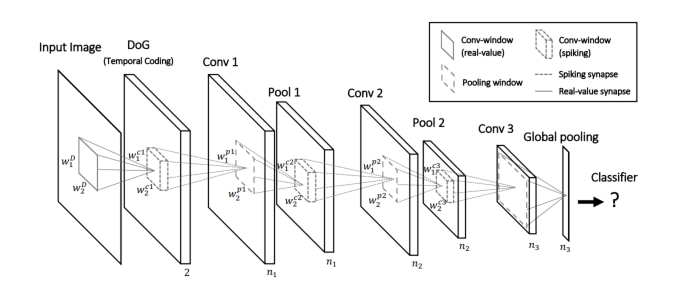 Stdp Based Spiking Deep Convolutional Neural Networks For Object Recognition 知乎