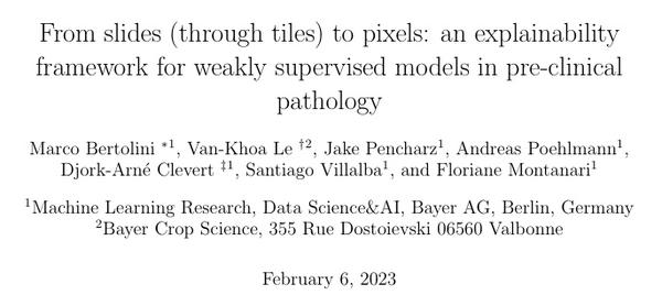 【2023年2月6日】论文分享 - 知乎