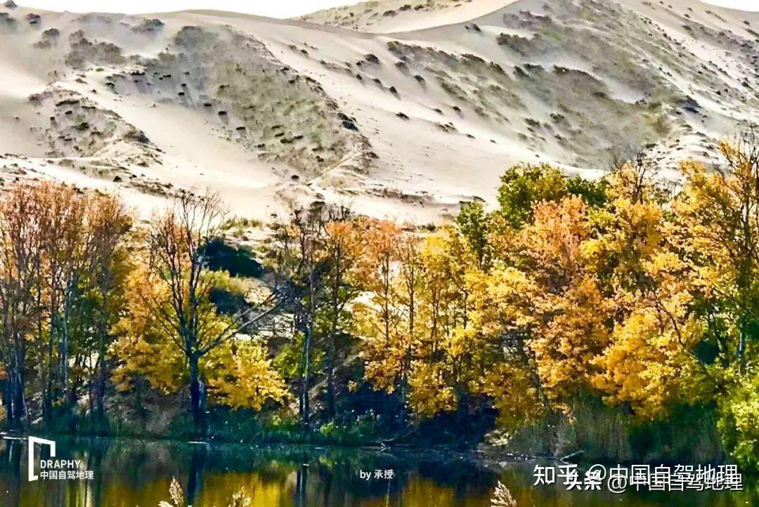 横跨中国北境的孤勇者之路，接力G219，荒芜与惊喜并存！丨‍G331路书系列 - 知乎