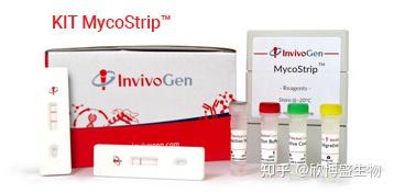 MycoStrip™—细胞支原体污染检测原来可以这么简单 - 知乎