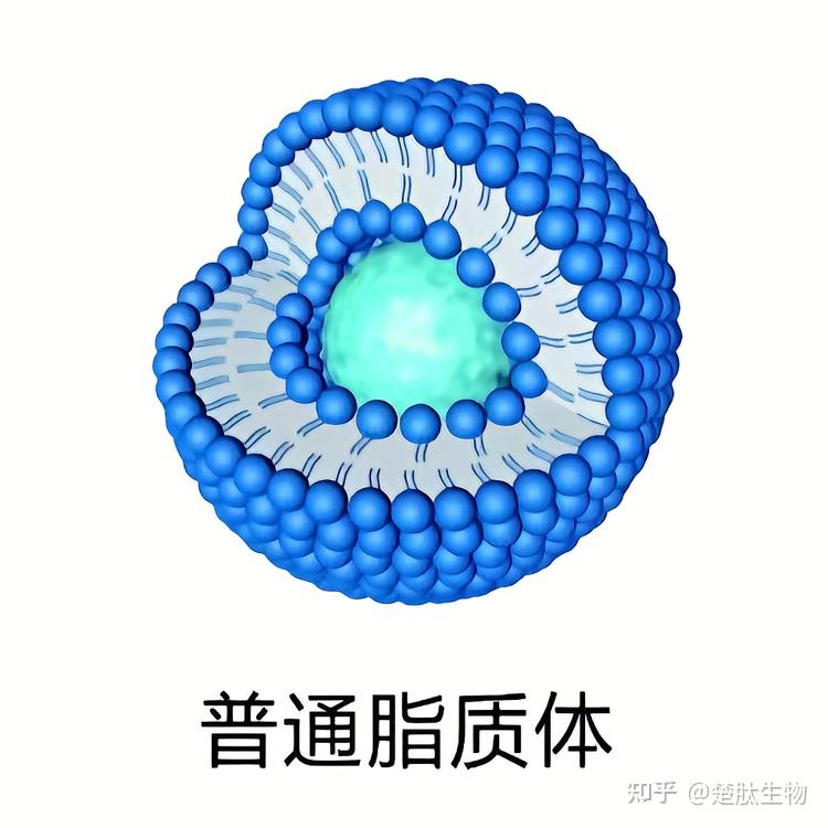 Sinapultide；KL4肽；西那普肽；KLLLLKLLLL KLLLLKLLLL K （KL4）；CAS：138531-07-4 - 知乎