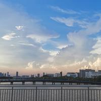 空间转录组学分析之华大数据分析python包stereopy的使用 - 知乎