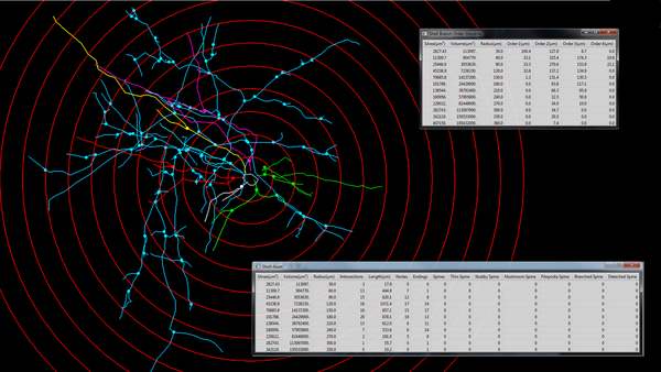 ImageJ实用技巧——Sholl Analysis（二）(插件篇) - 知乎