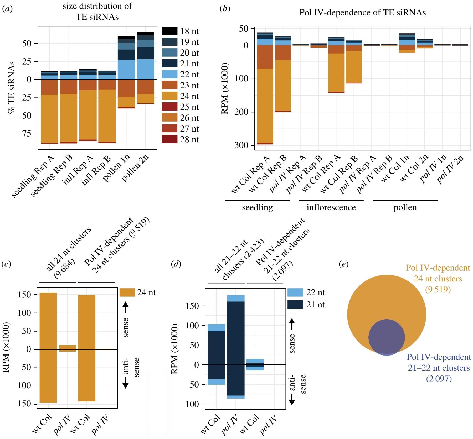 RNA干扰（一）——mi-！si-！pi-！ - 知乎