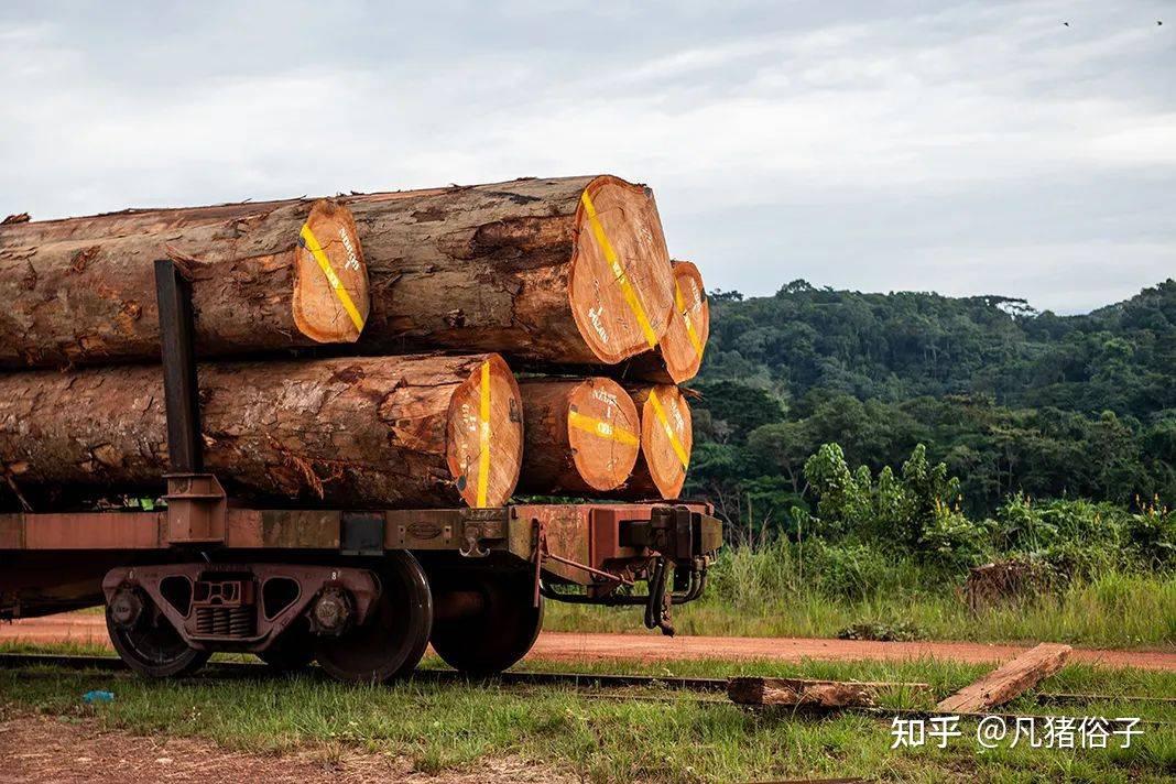 UKTR英国木材法规认证着重点包括哪些方面？UKTR认证标准有哪些 - 知乎