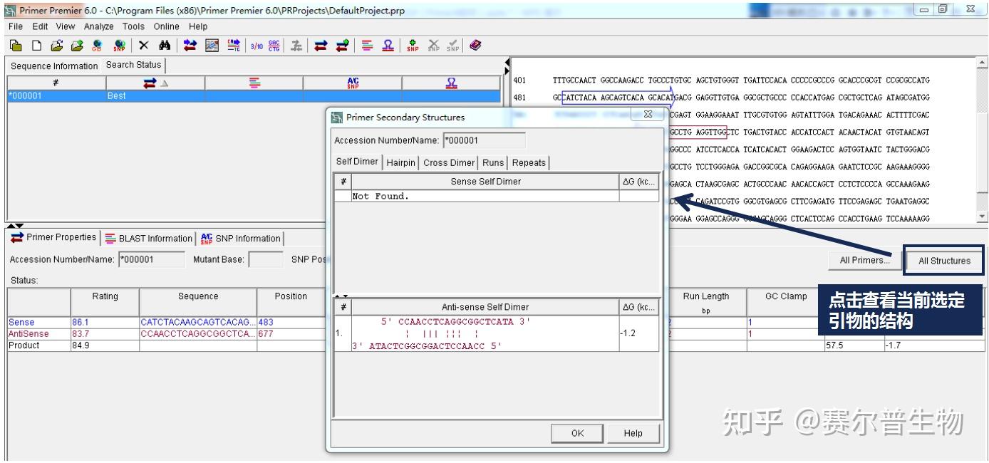 Primer Premier 6，3分钟教你完成引物设计（含软件安装） - 知乎