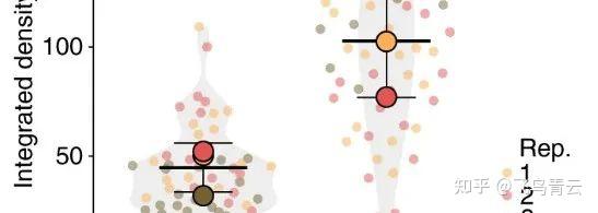 R语言ggplot2 学习NC文章的分组频率分布直方图和密度图 - 知乎
