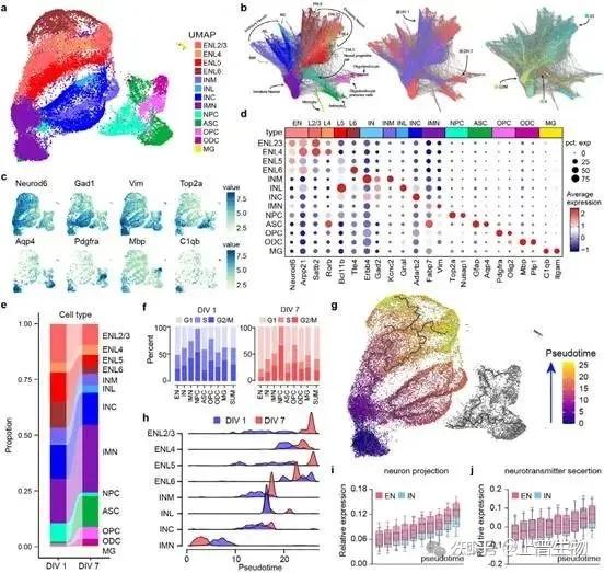 Advanced Science|北京协和毛一雷教授团队和马文彬教授团队发表: 3D 生物打印矩阵中神经网络的多尺度组织 - 知乎