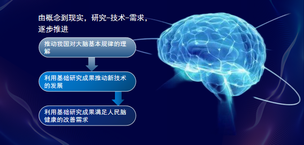深度解析！我国脑科学行业的过去、现在和未来 - 知乎