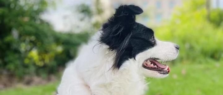 实习律师入职第289天：带教低语 这周开庭记得 - 知乎