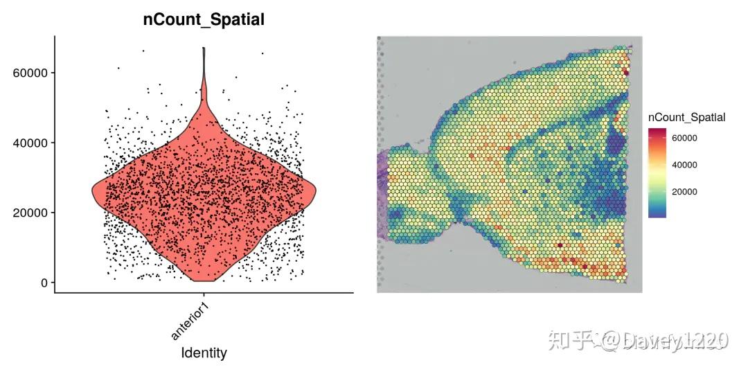 Seurat包学习笔记（三）：Analysis of spatial datasets - 知乎