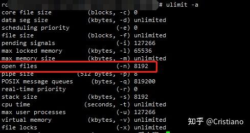linux系统 too many open files解决方法 - 知乎