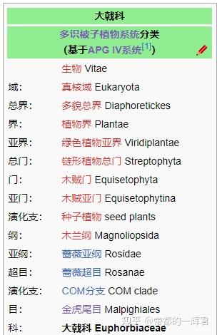 APG IV系统介绍（三）——大戟科的拆分 - 知乎