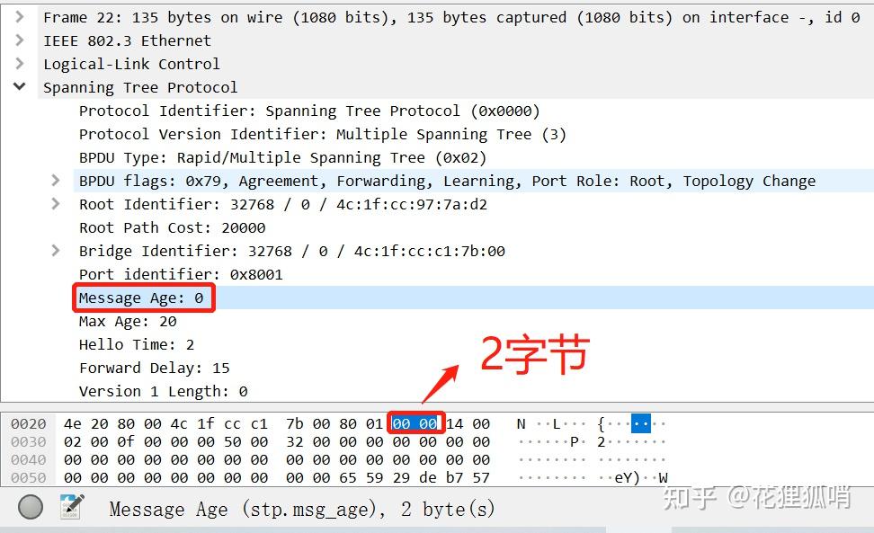 MSTP报文格式 - 知乎
