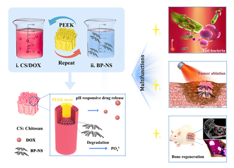 《Compos. Part B Eng.》：3D打印结合LBL构建多功能PEEK支架用于骨癌的缺损修复 - 知乎