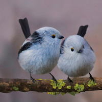 一些黑话：SOTA，backbone，benchmark，baseline… - 知乎