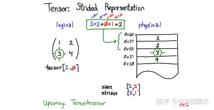 Pytorch 001 基本结构内部机制底层概览 知乎