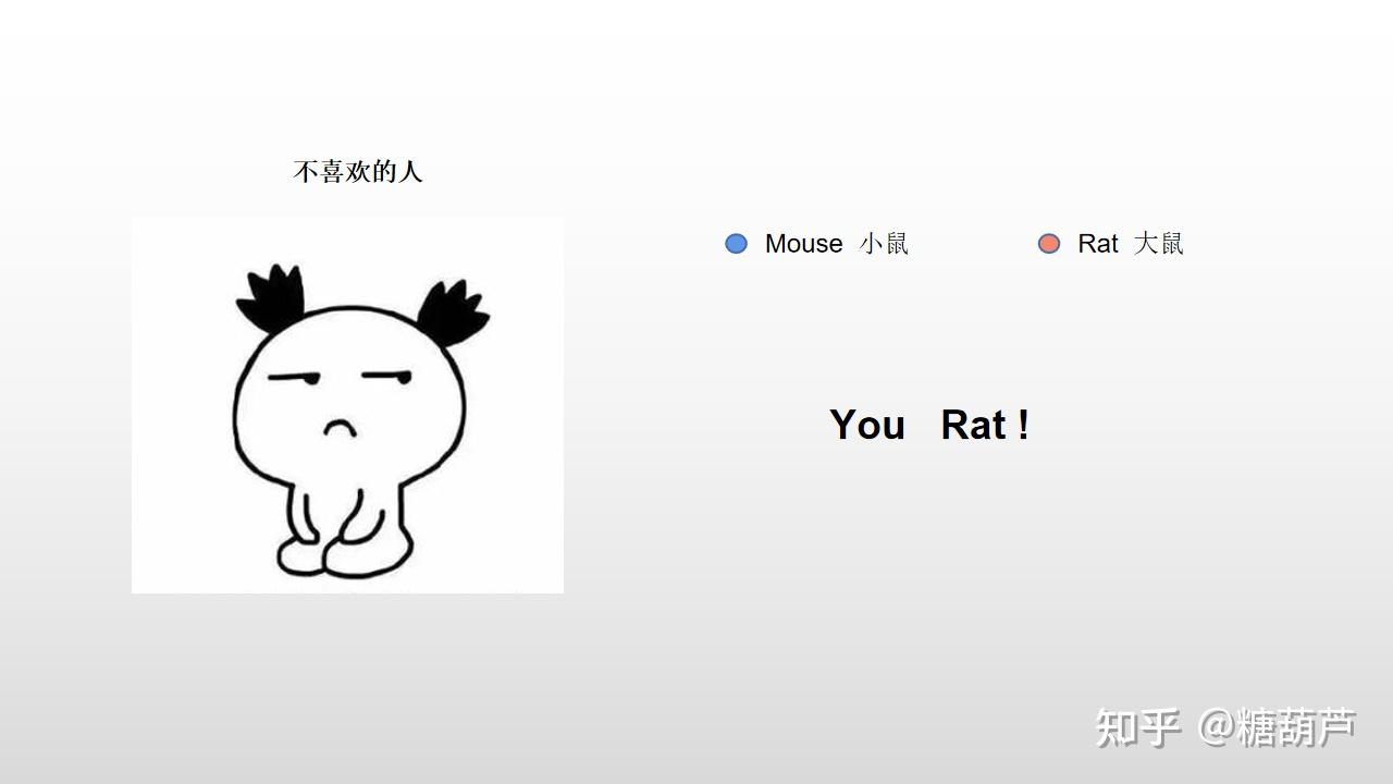 [鼠|英文课堂]如何区别Mouse和Rat？ - 知乎