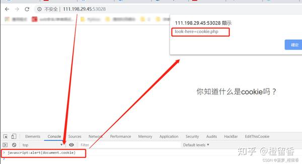 【XCTF】WEB入门新手练习靶场全部通关教程 - 知乎