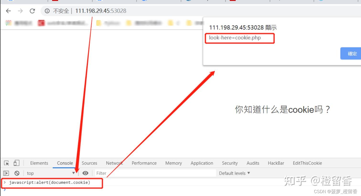 【XCTF】WEB入门新手练习靶场全部通关教程 - 知乎