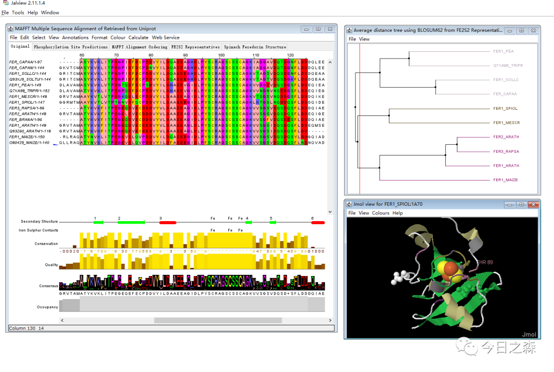 详解多序列比对软件Jalview的使用方法，美化-编辑-自定义设计 - 知乎