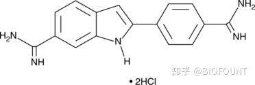 DAPI（溶液配制,使用方法,步骤） - 知乎