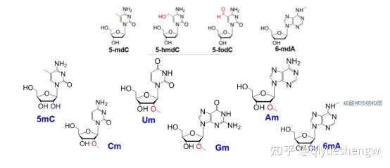 叶酸-壳聚糖Prdx6 shRNA纳米粒|叶酸修饰壳聚糖小干扰RNA纳米粒（合成方法） - 知乎