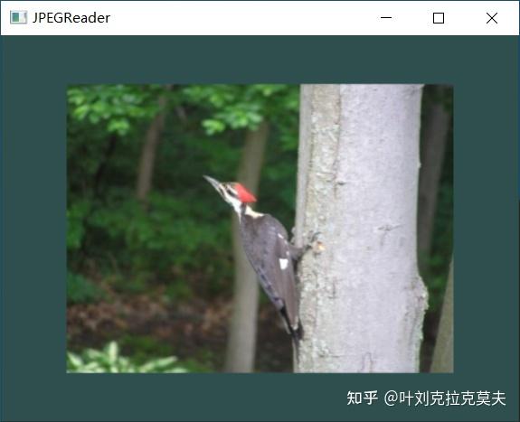 VTK官方示例Python版64 - JPEGReader.py - 知乎