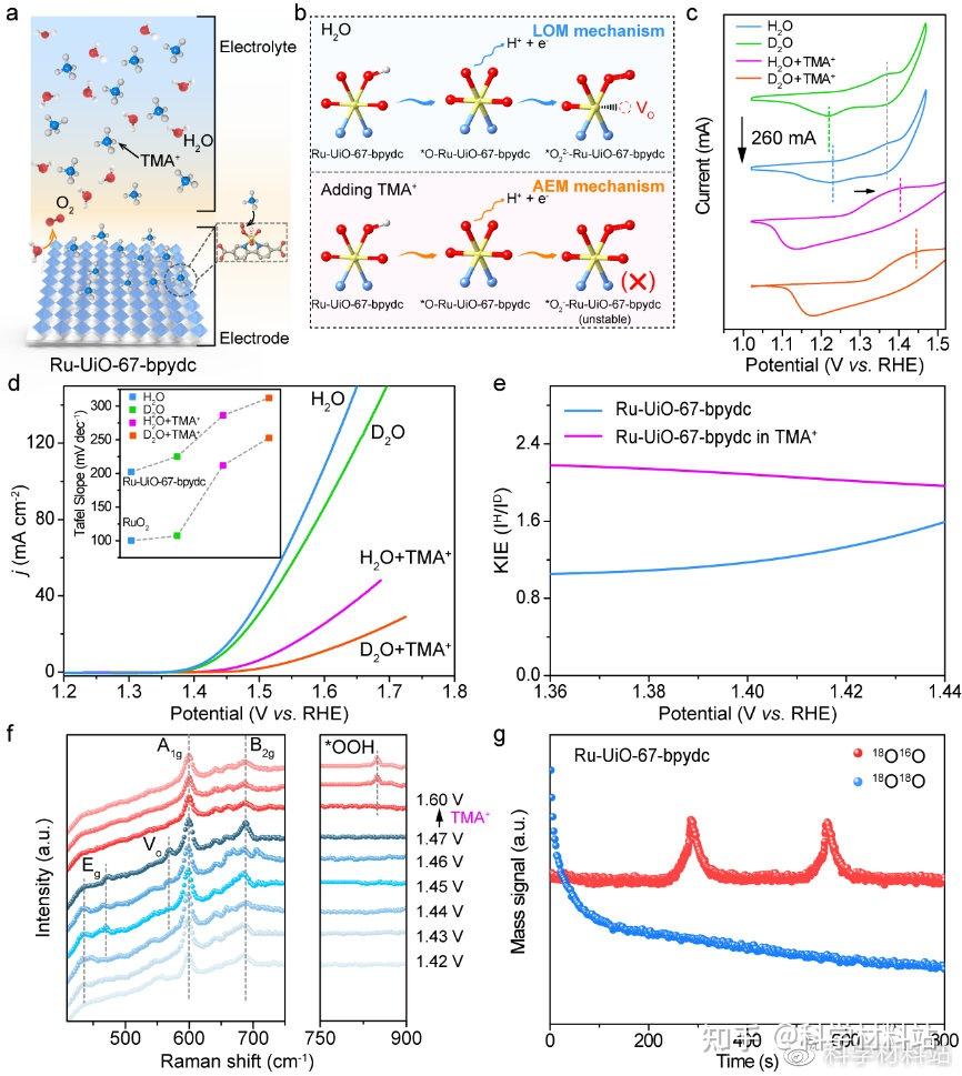 武汉大学罗威Chem：原子级分散钌氧化物实现晶格氧参与高效稳定酸性氧析出 - 知乎