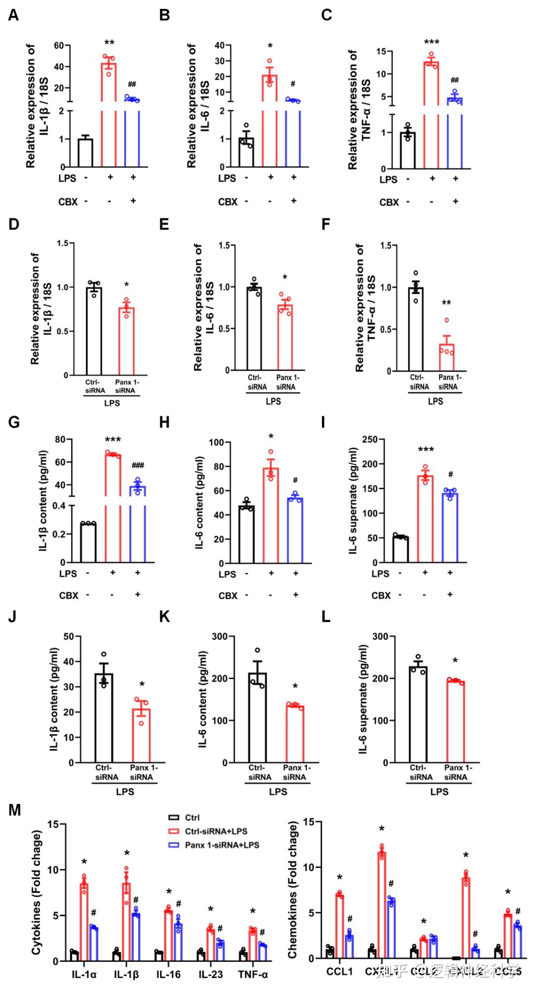 J Neuroinflammation︱南通大学陈罡课题组揭示施万细胞Pannexin 1通过介导炎症反应调节神经病理性疼痛 - 知乎